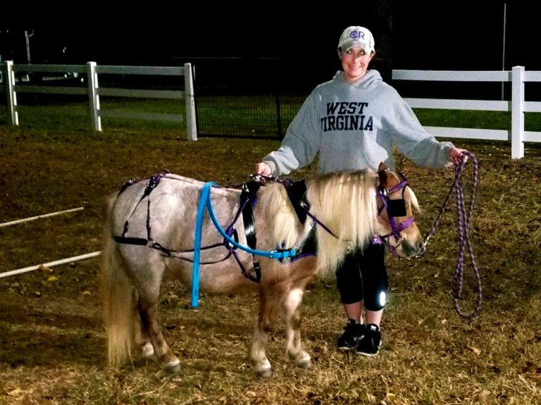 My Little Pony – Gardner Hard Luck Horse Farm