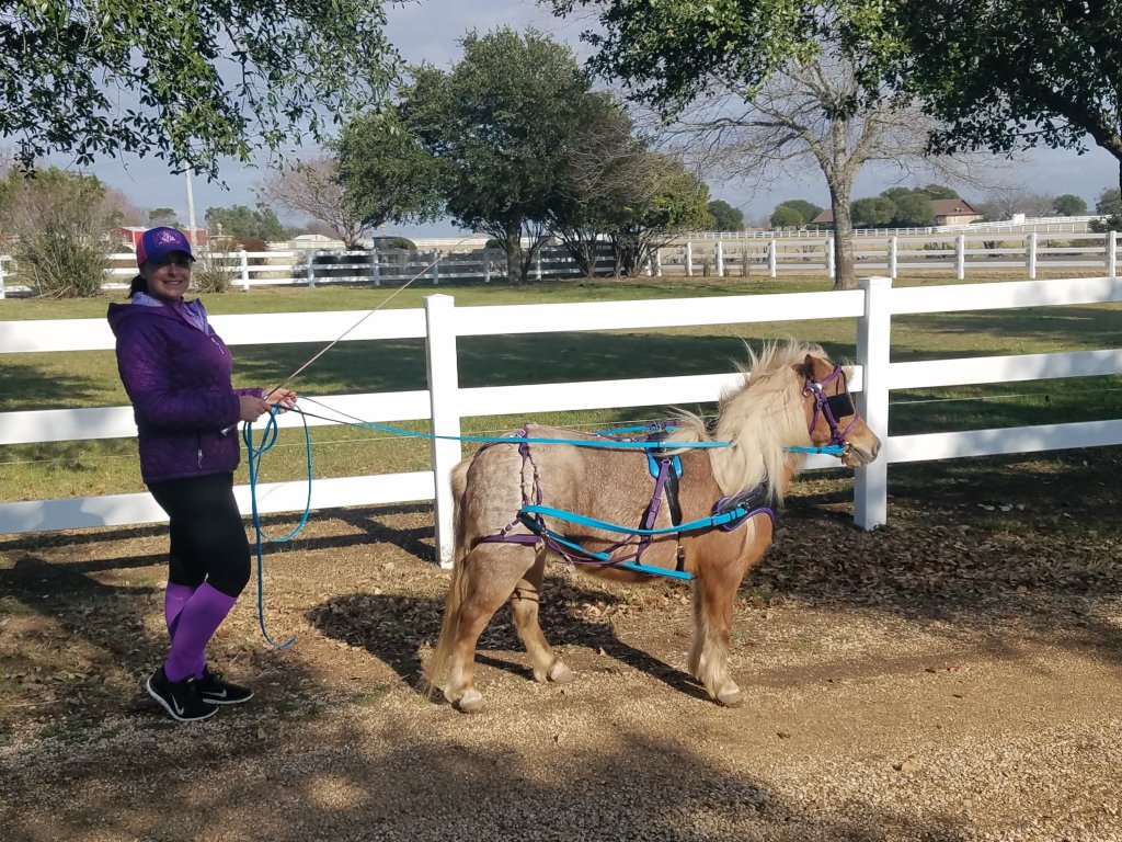 So now I’m a Pro… – Gardner Hard Luck Horse Farm