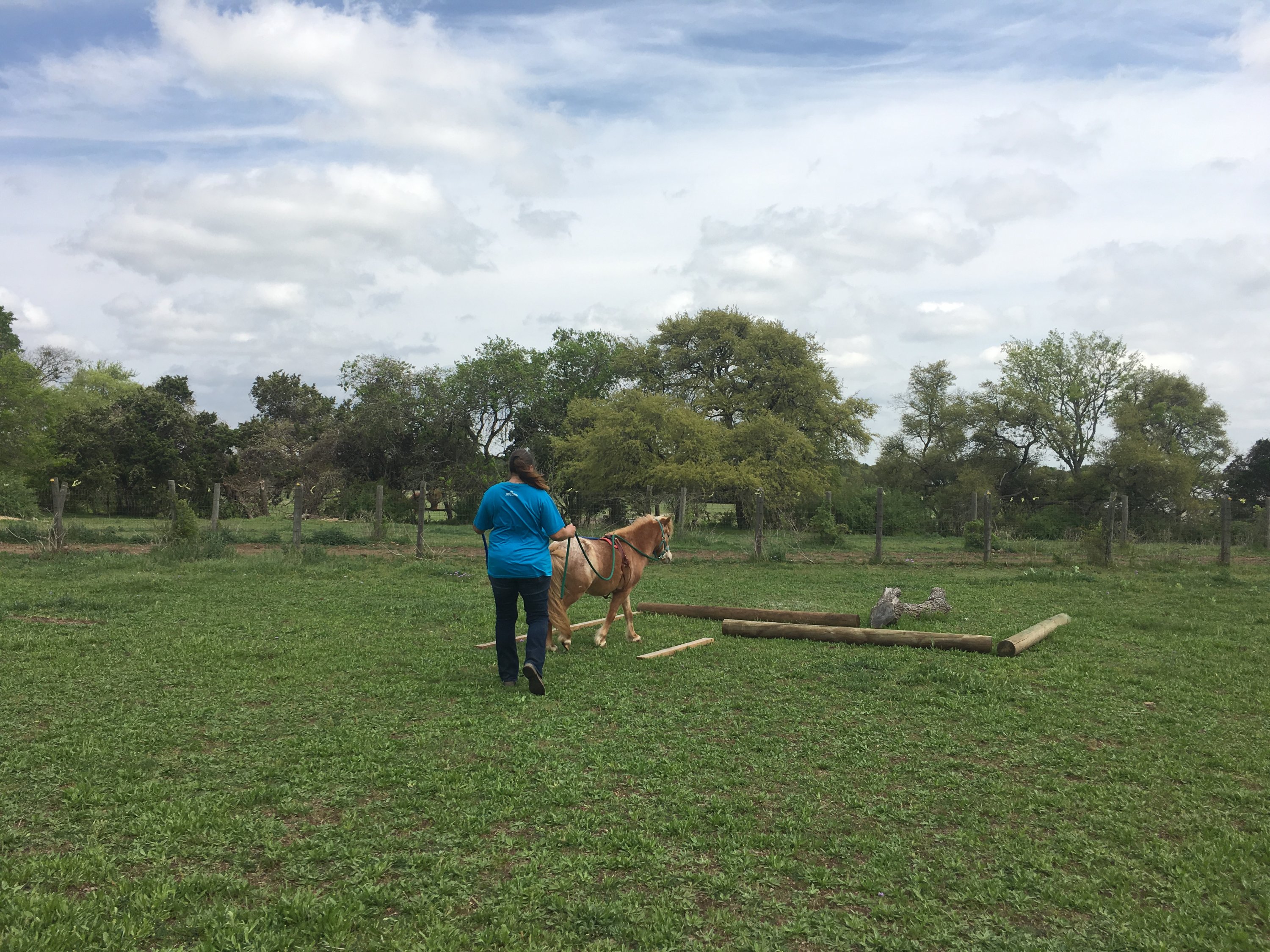 A Tail of Two Ponies, A Case Study in Training…Day 5 – Gardner Hard ...