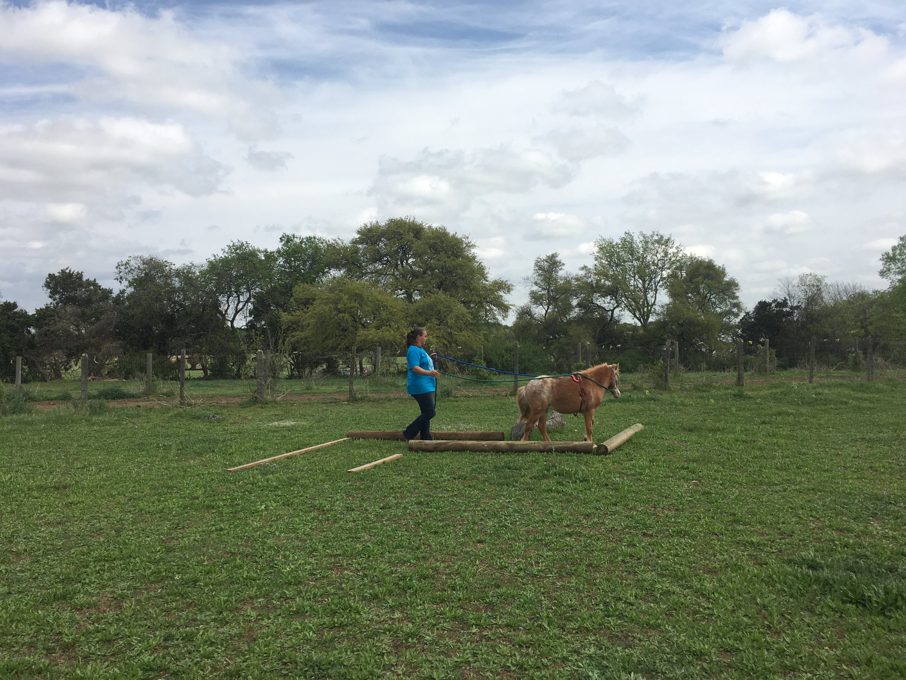 A Tail of Two Ponies, A Case Study in Training…Day 5 – Gardner Hard ...
