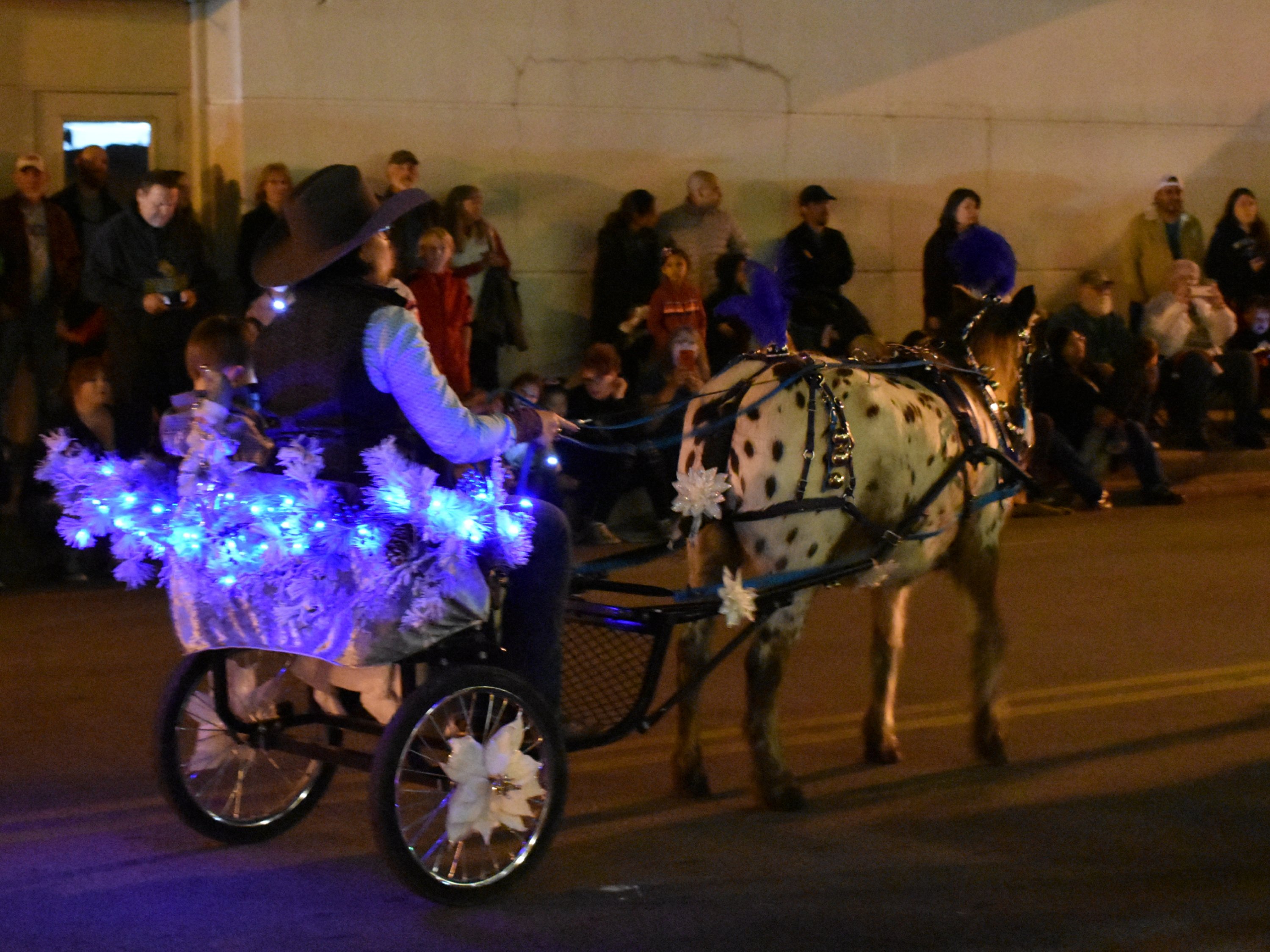 About Horses and Parades – Gardner Hard Luck Horse Farm