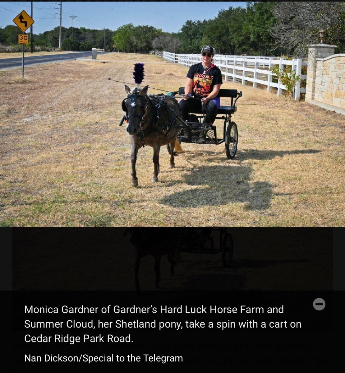 We Made the Front Page, but… – Gardner Hard Luck Horse Farm